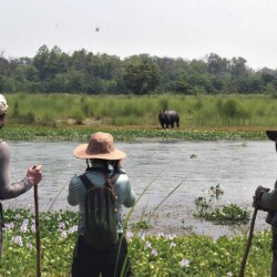 Wildlife Gallery - Hotel Jungle Crown - Sauraha